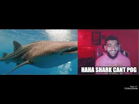 R Okbuddyretard Compilation Vol 2 Youtube