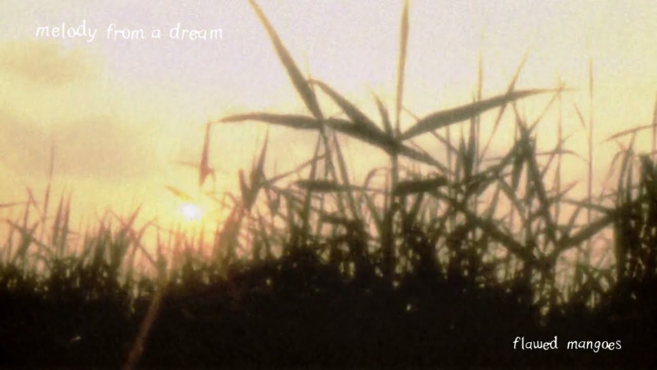 Flawed Mangoes Melody From A Dream Visualizer Chords Chordify