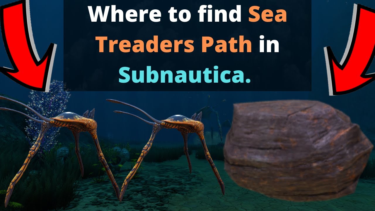 How To Find The Sea Treaders Path In Subnautica Youtube