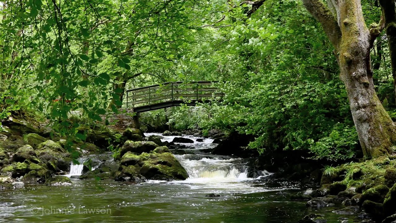 Nature Sounds Relaxation Meditation Flowing Water Bird Song Wood Sounds