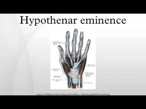 Hypothenar Eminence Youtube