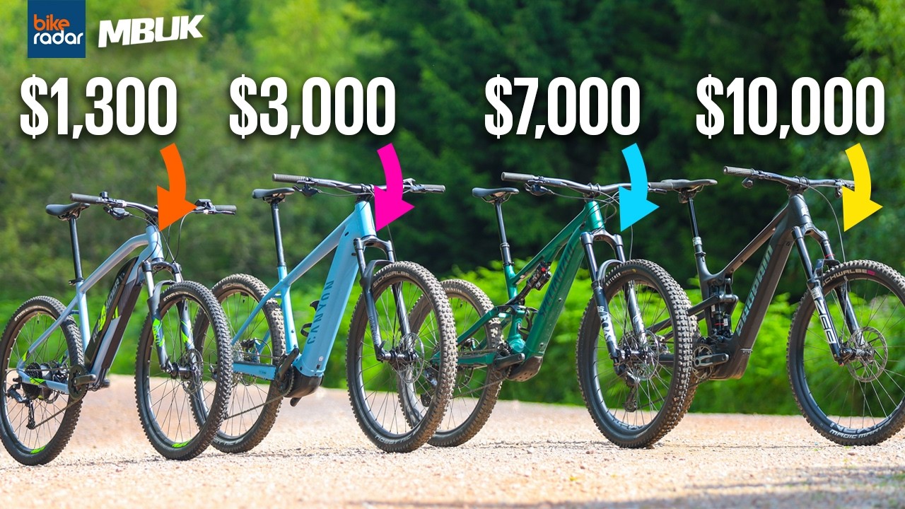 Affordable Vs Premium Electric Bikes Real World Test Youtube
