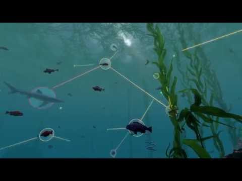 Sea Otter Channel Exploring Ecosystems Coastal Food Webs