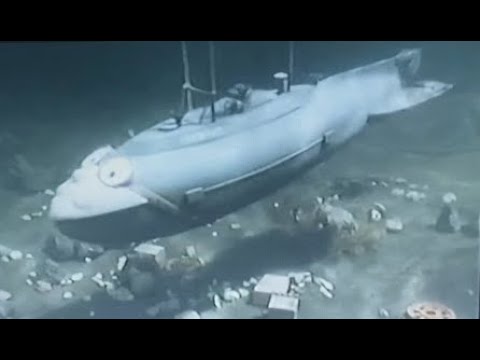 Stingray Intro Tugs Edition Youtube