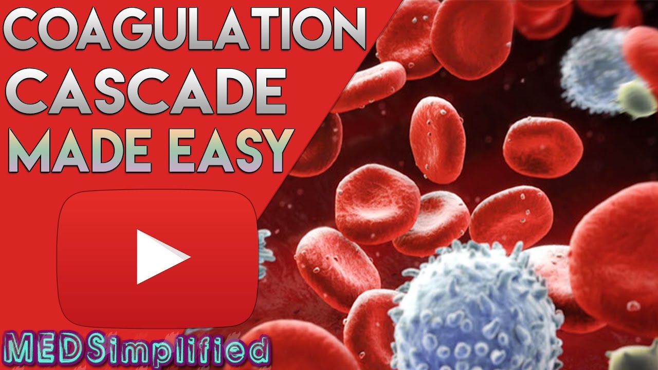 Coagulation Cascade Simplest Explanation The Extrinsic And Intrinsic