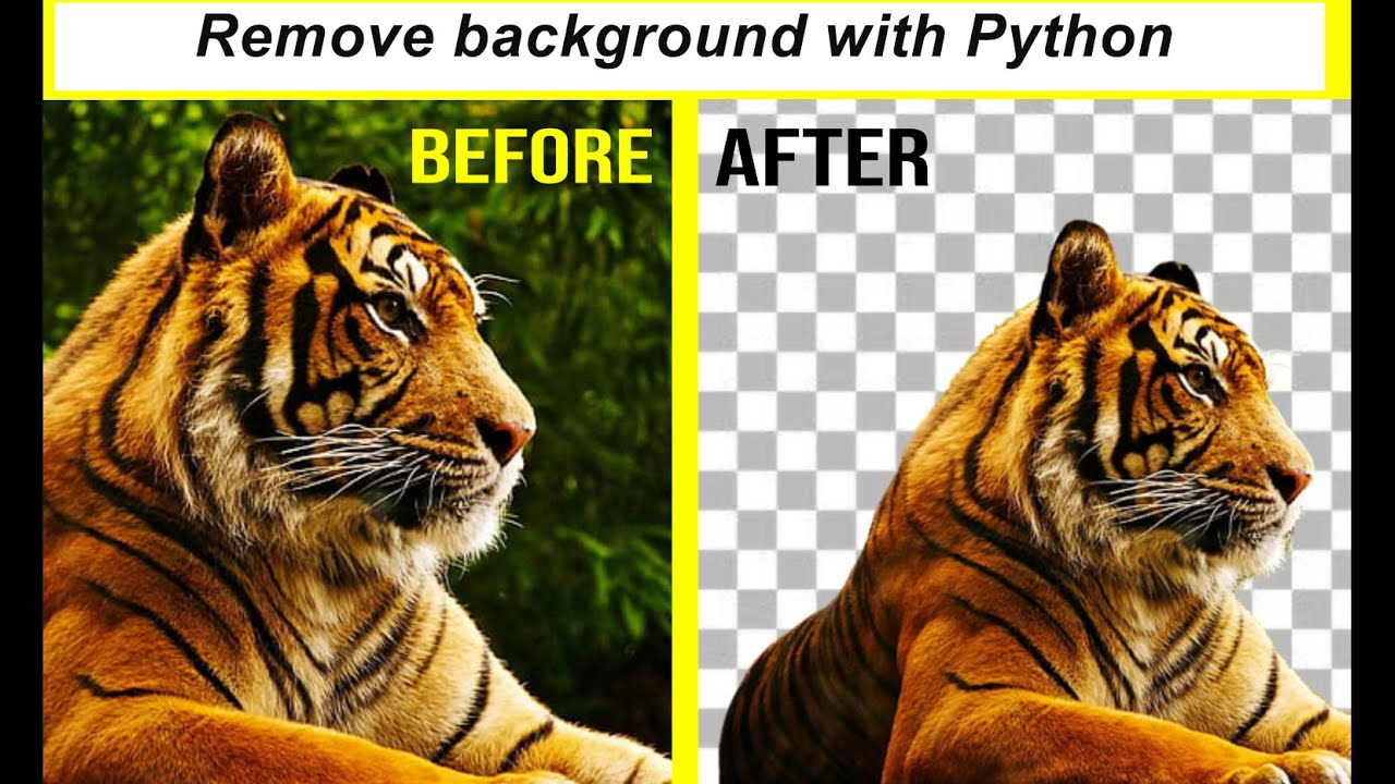 Remove Image Background With Python Youtube