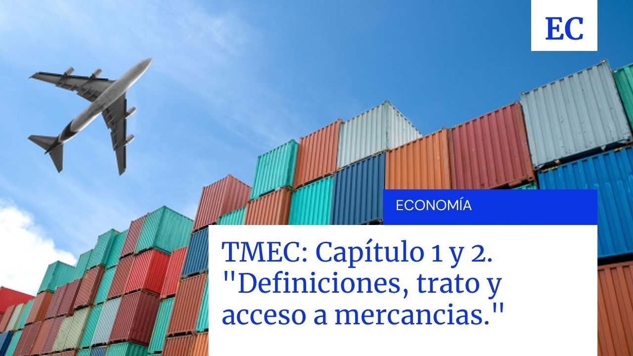 Tmec Capítulo 1 Y 2 Resumen Youtube