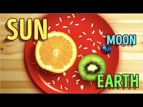 5 Experiments To Do At Home Easy Science Explained Youtube