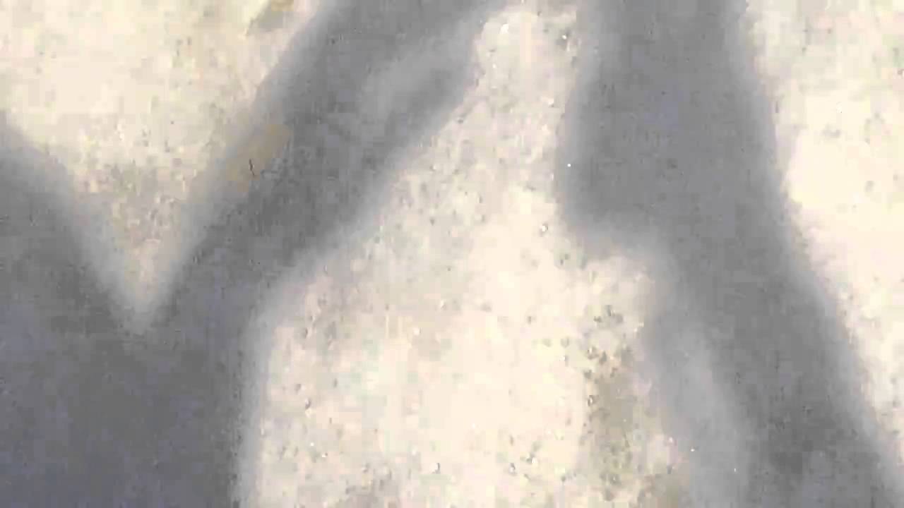 Clip0044 Youtube