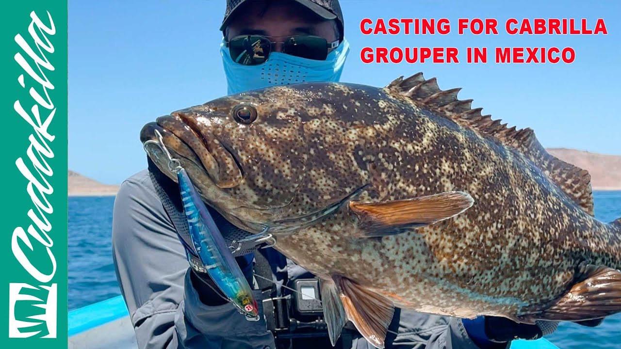 Casting For Cabrilla Grouper At Bahialos Angeles Baja Sur Youtube