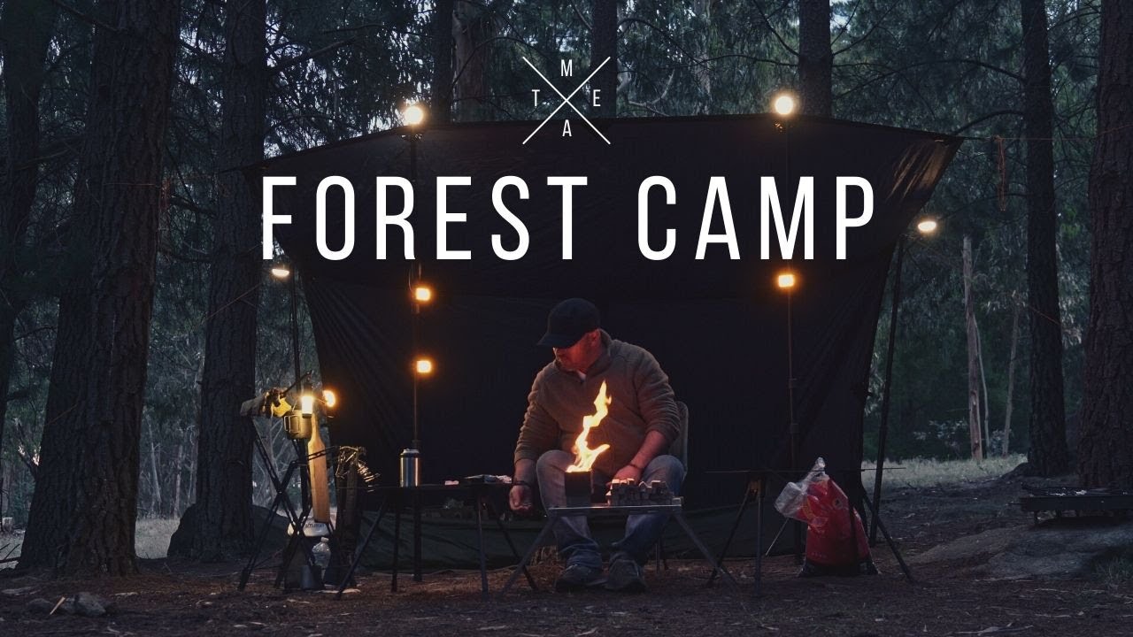 Camping Alone In Forest My 50th Solo Camp Asmr Youtube