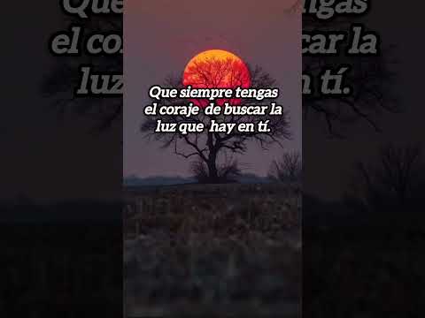 Frase Frasesyreflexiones Motivacion Inspiration Youtubeshorts Youtube