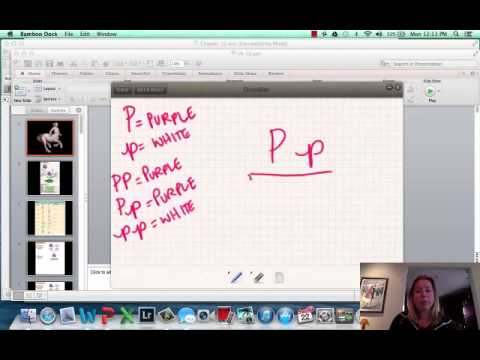 Genetics Part Iii Youtube