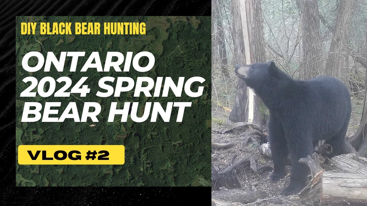 Ontario Diy Spring Bear Hunt Vlog 2 Youtube