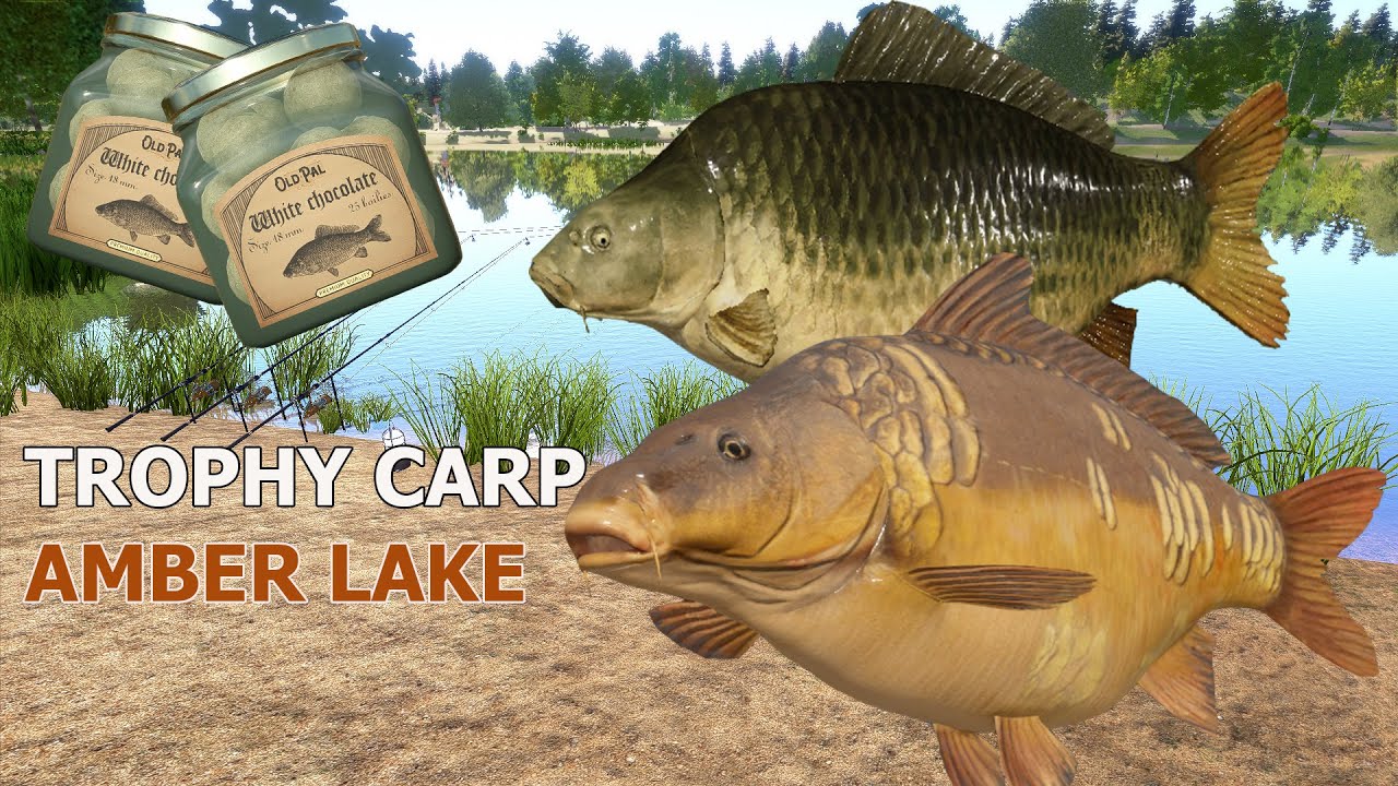 Russian Fishing 4 Rf4 Today S Trophies From Amber Youtube