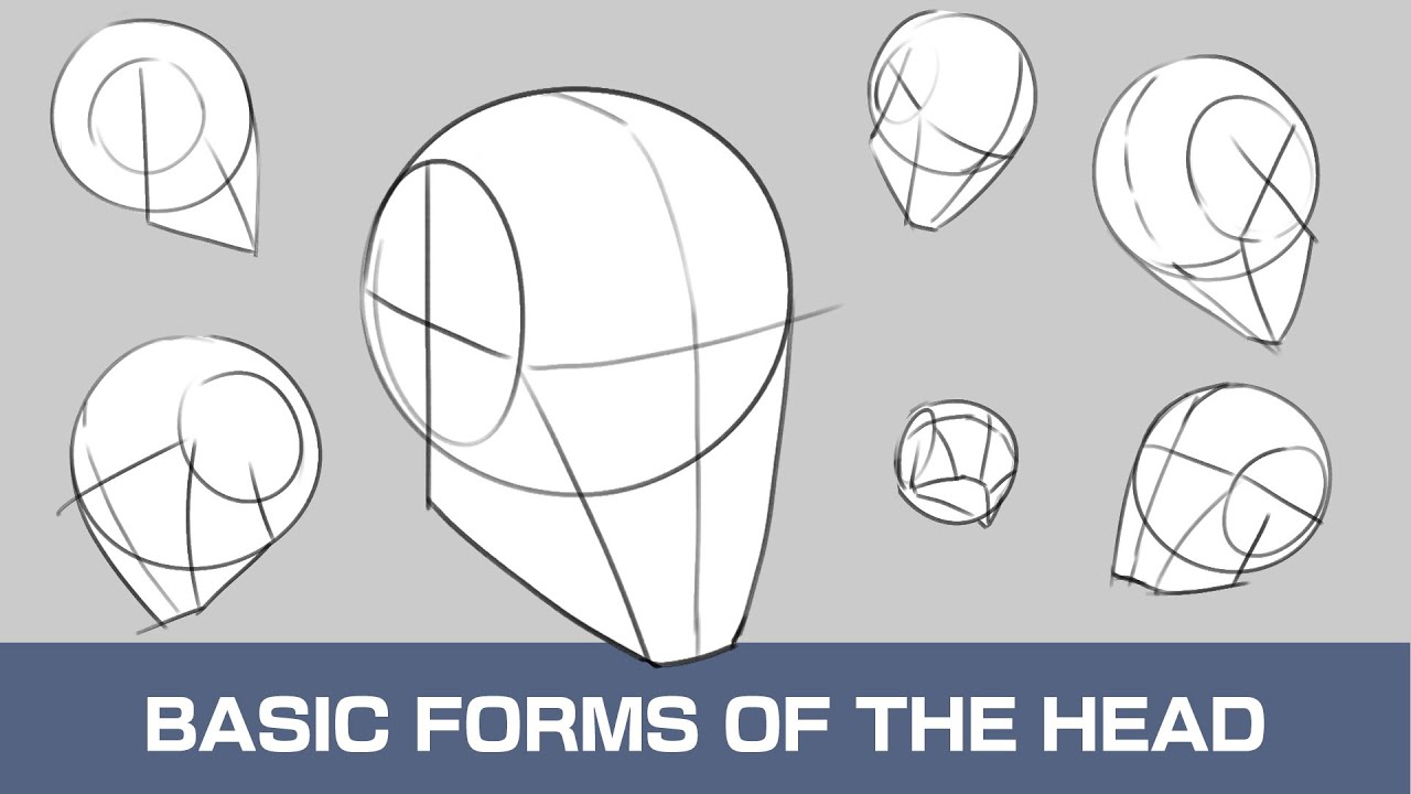 Head Drawing Fundamental Forms Youtube
