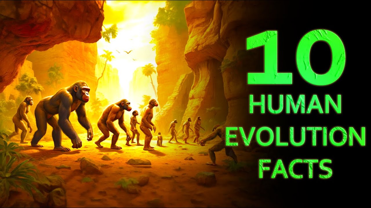 Top 10 Fascinating Facts About Human Evolution Youtube