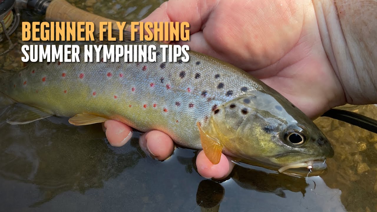 Beginner Fly Fishing Summer Nymphing Tips Fishing