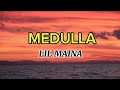 Medulla Lyrics Lil Maina Ft Soundcraft Mr Berry Lyrics Kenyan Maina Mp3 ...