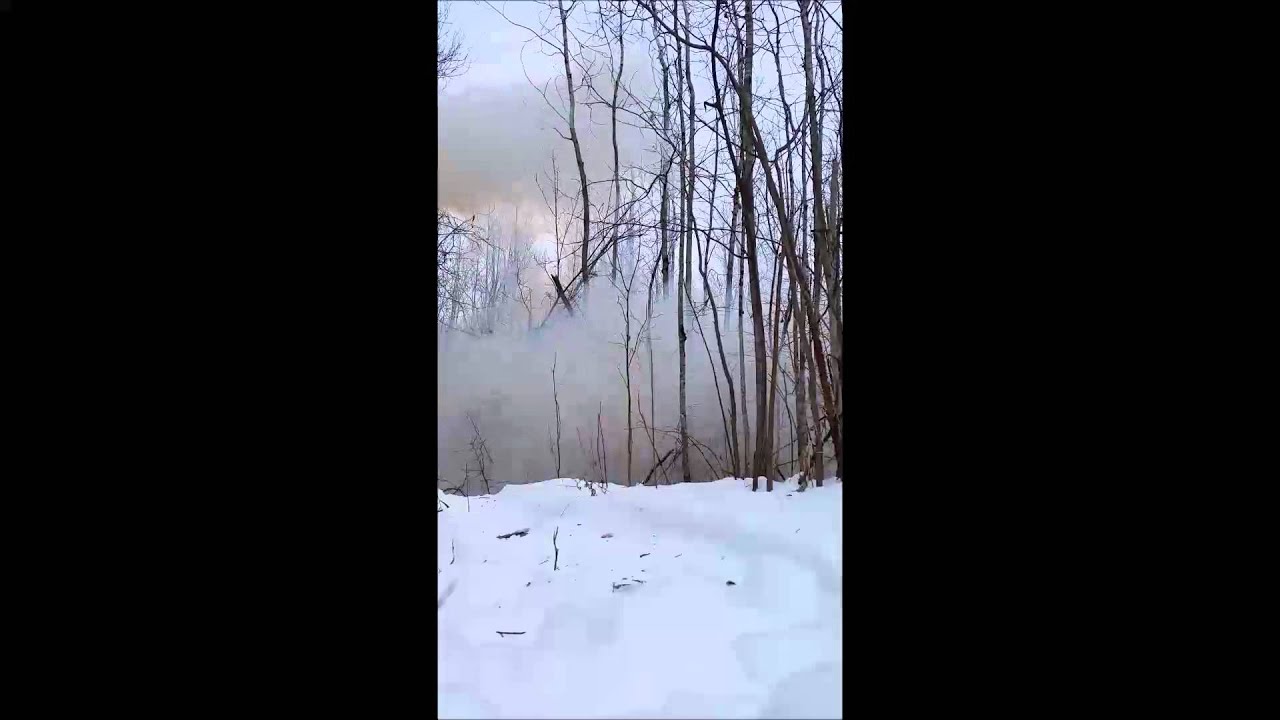 Exploding Tree Youtube