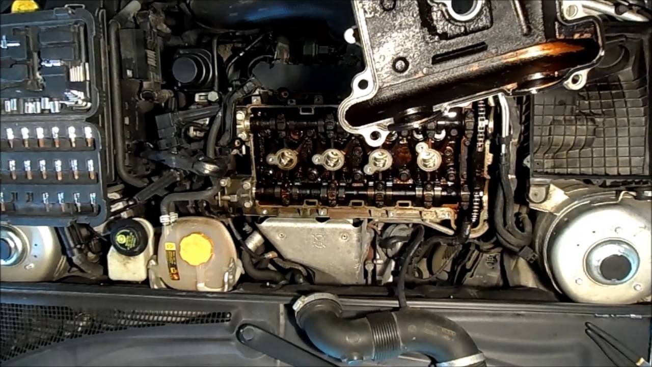Timing Chain Pulley Noise At Carrie Hernandez Blog