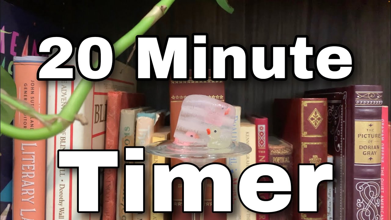 20 Minute Timer Tiny Ducks In Ice Cube Time Lapse Youtube