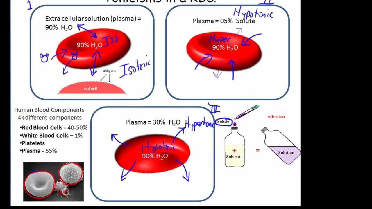 Tonic Solutions Rbc Youtube