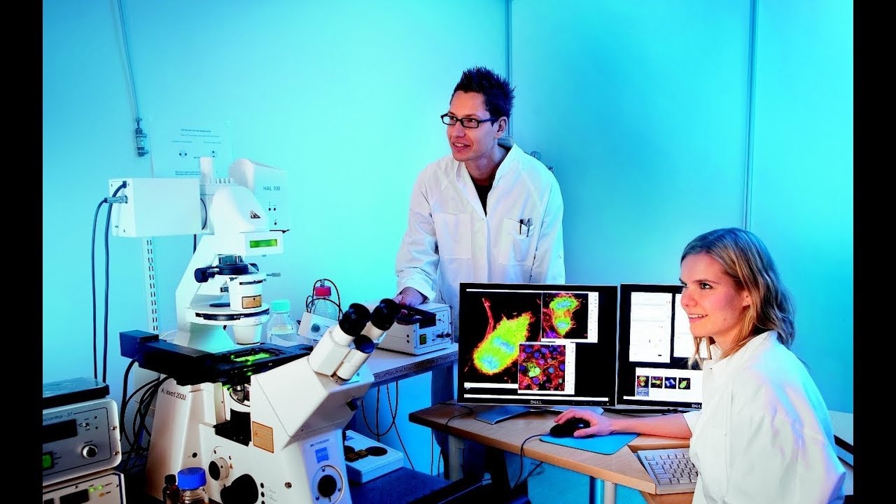 Master S Degree Programme In Biomedical Imaging Bima 2014 Youtube