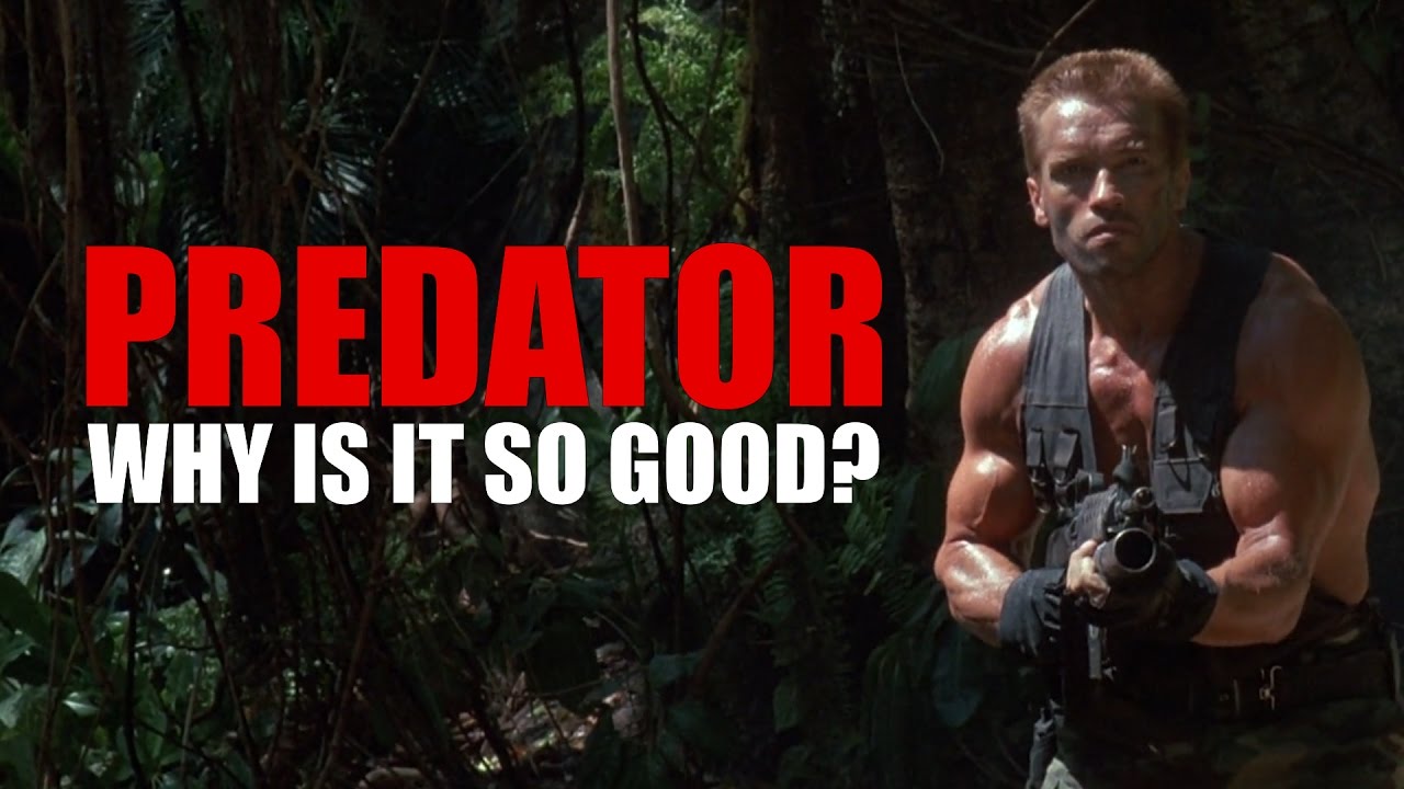 Predator Why Is It So Good Youtube