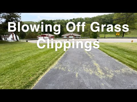 Blowing Off The Driveway Youtube