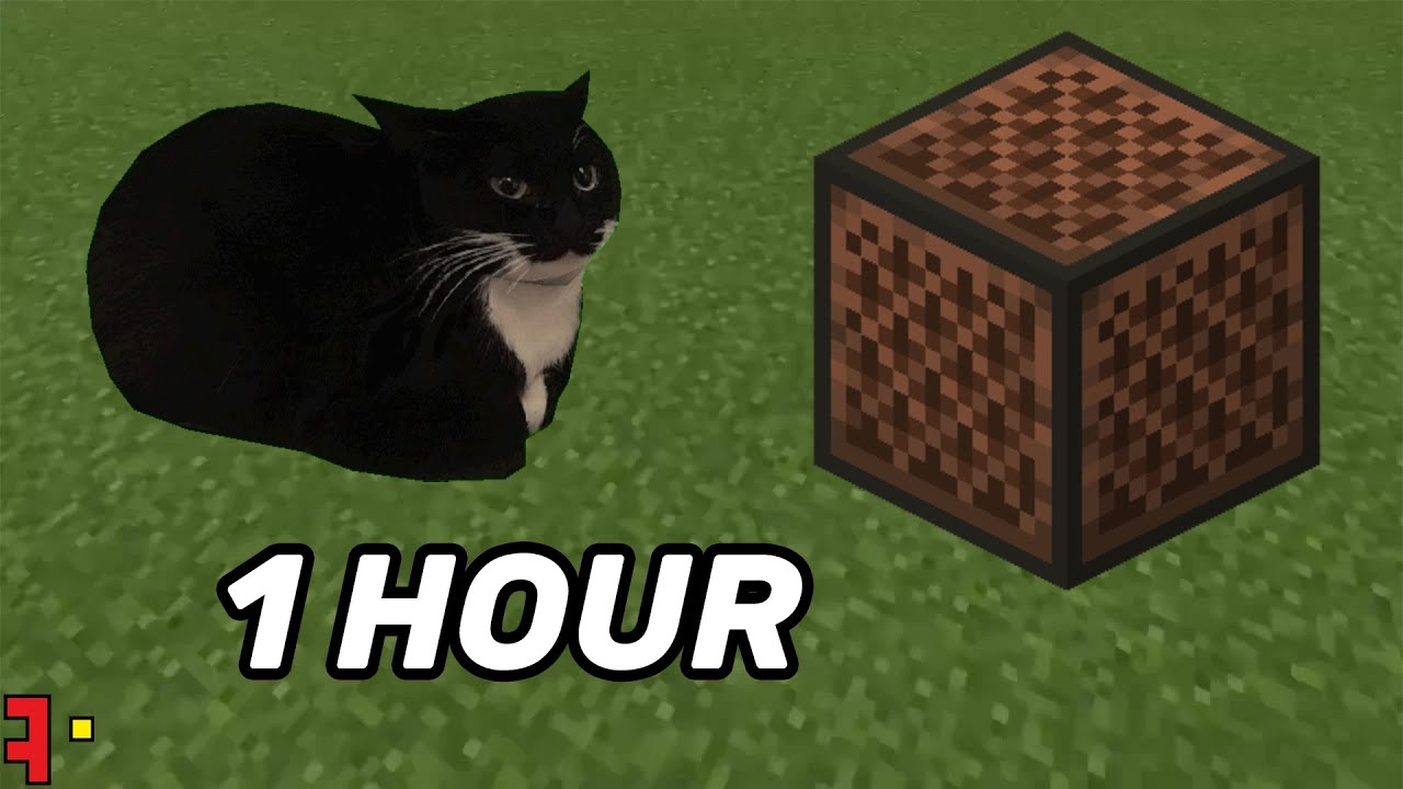 1 Hour Of Maxwell The Cat On Note Blocks Youtube