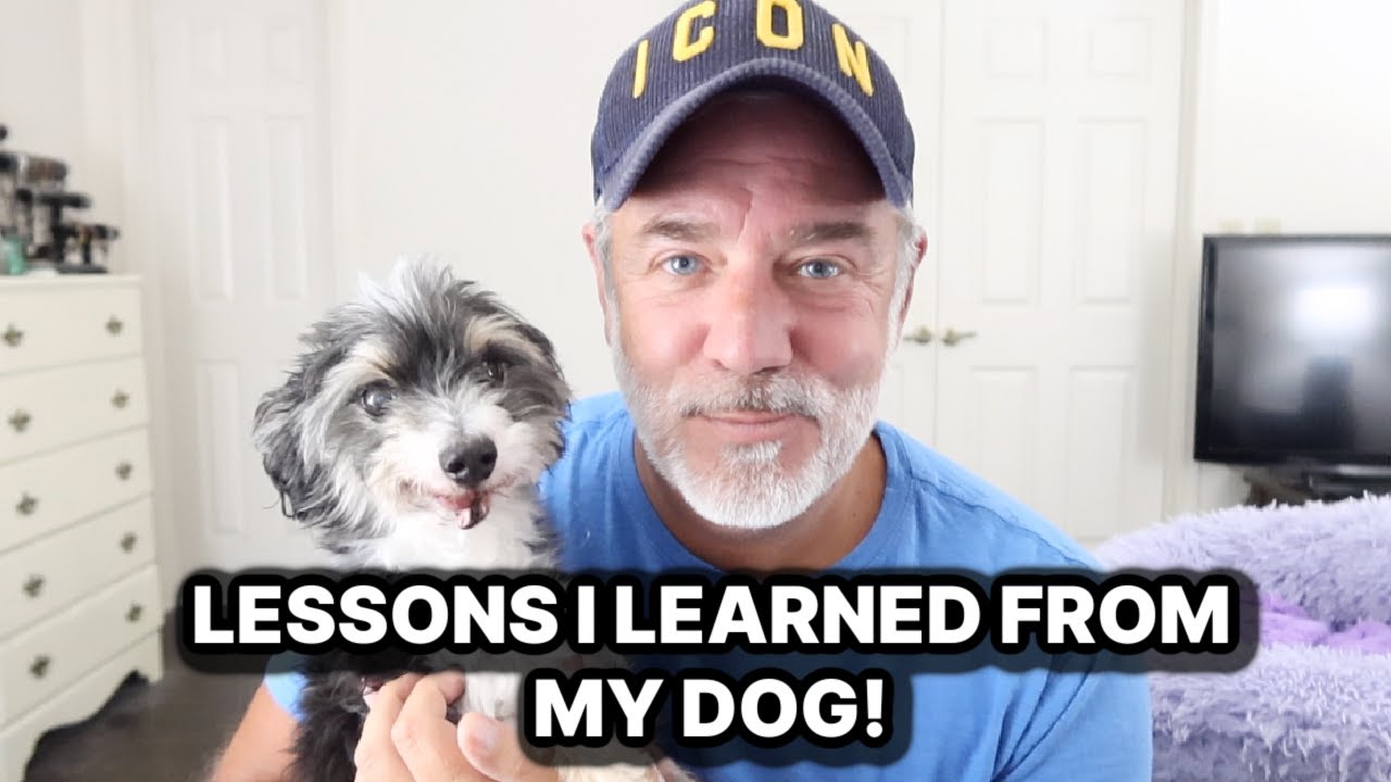Lessons I Learned From My Dog Youtube