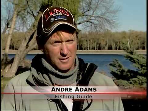 Andre With Ron Schara Youtube