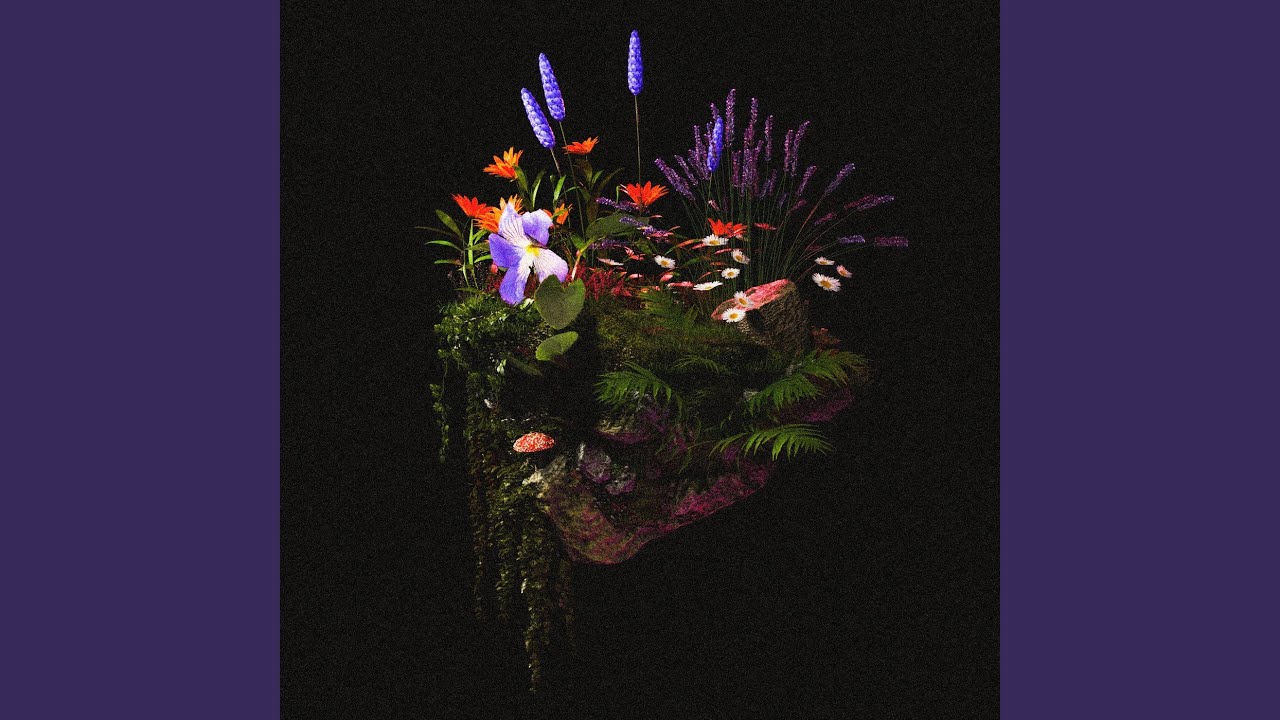 Opacity Youtube Music