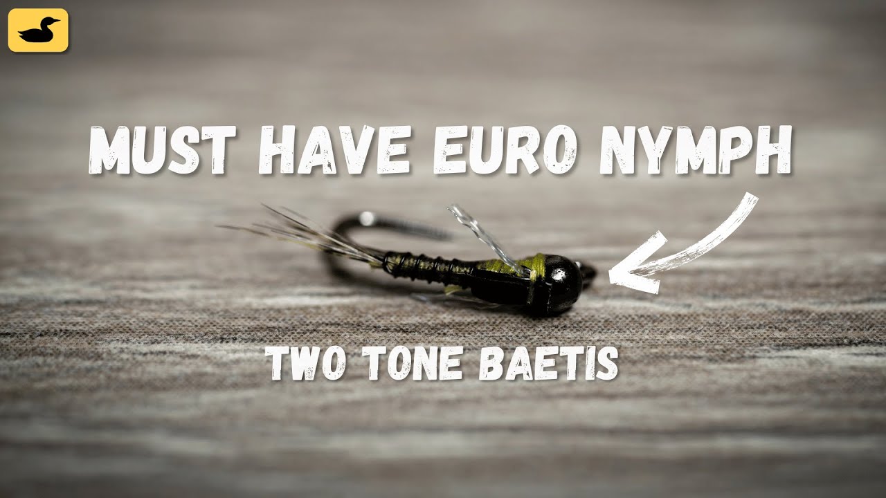 Fly Tying Tutorial Two Tone Baetis Youtube