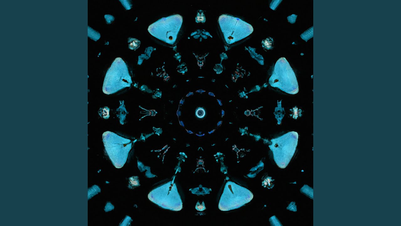 Contemplating Life Youtube Music