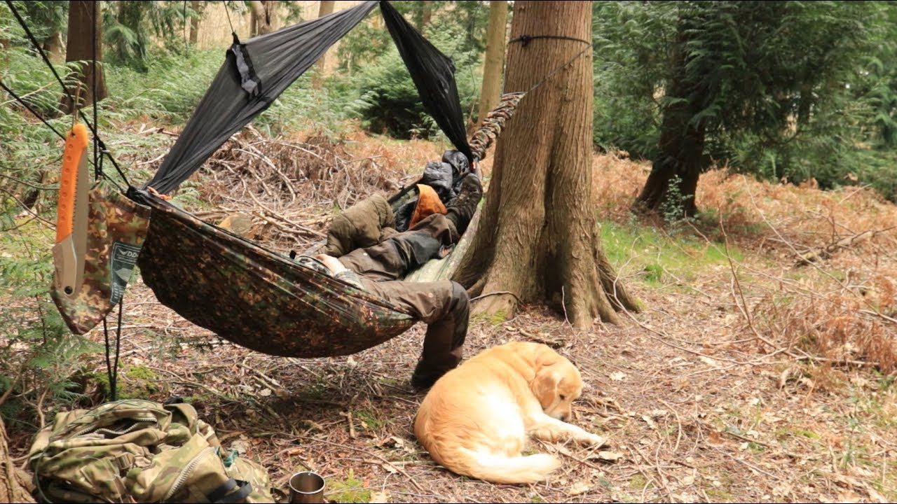 Hammock Woods Wild Camping Youtube
