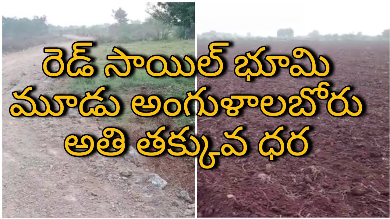 Land For Sale Youtube