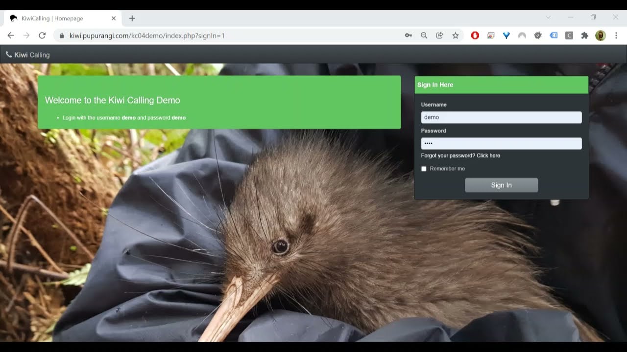 Kiwi Calling Demo Youtube