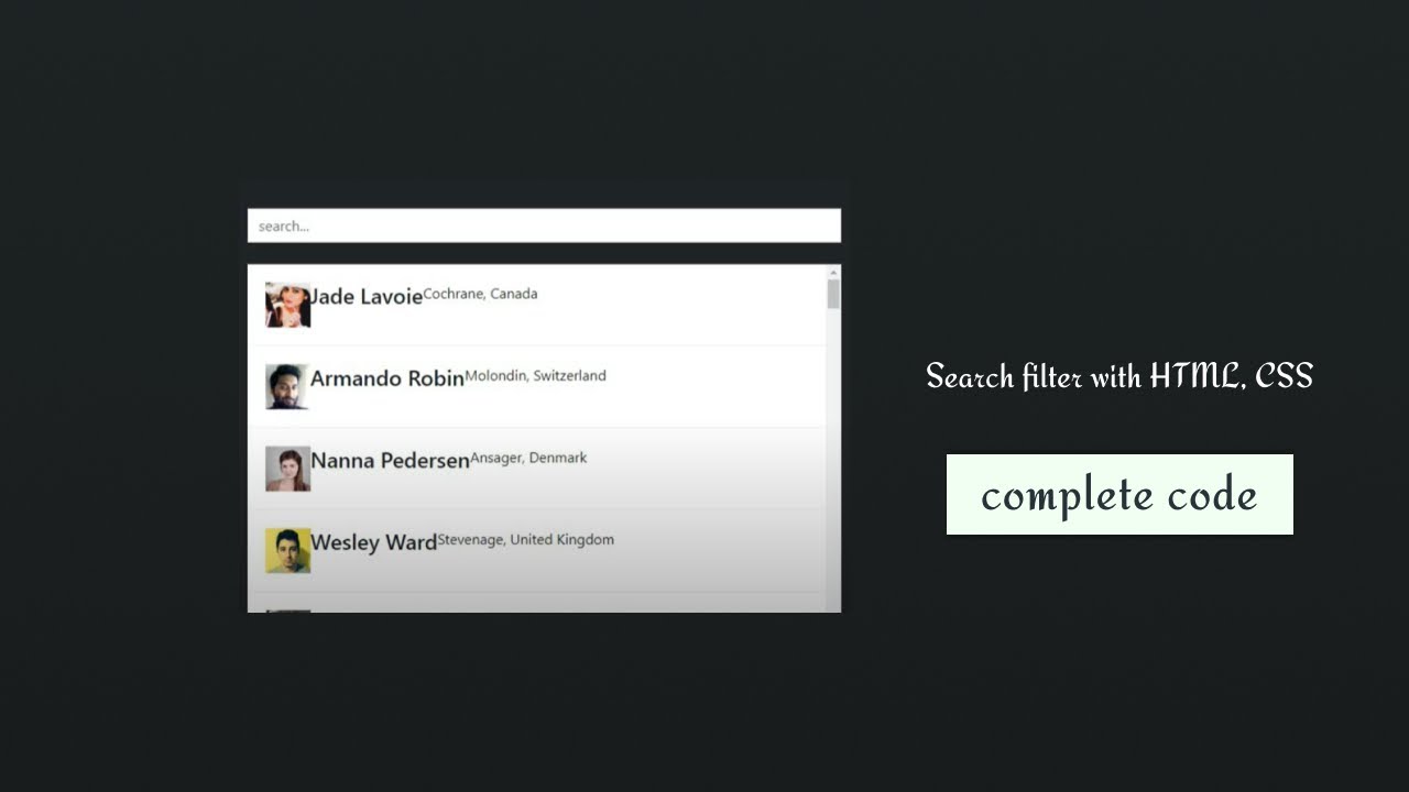 Search Filter With Html Css Js Complete Code Youtube