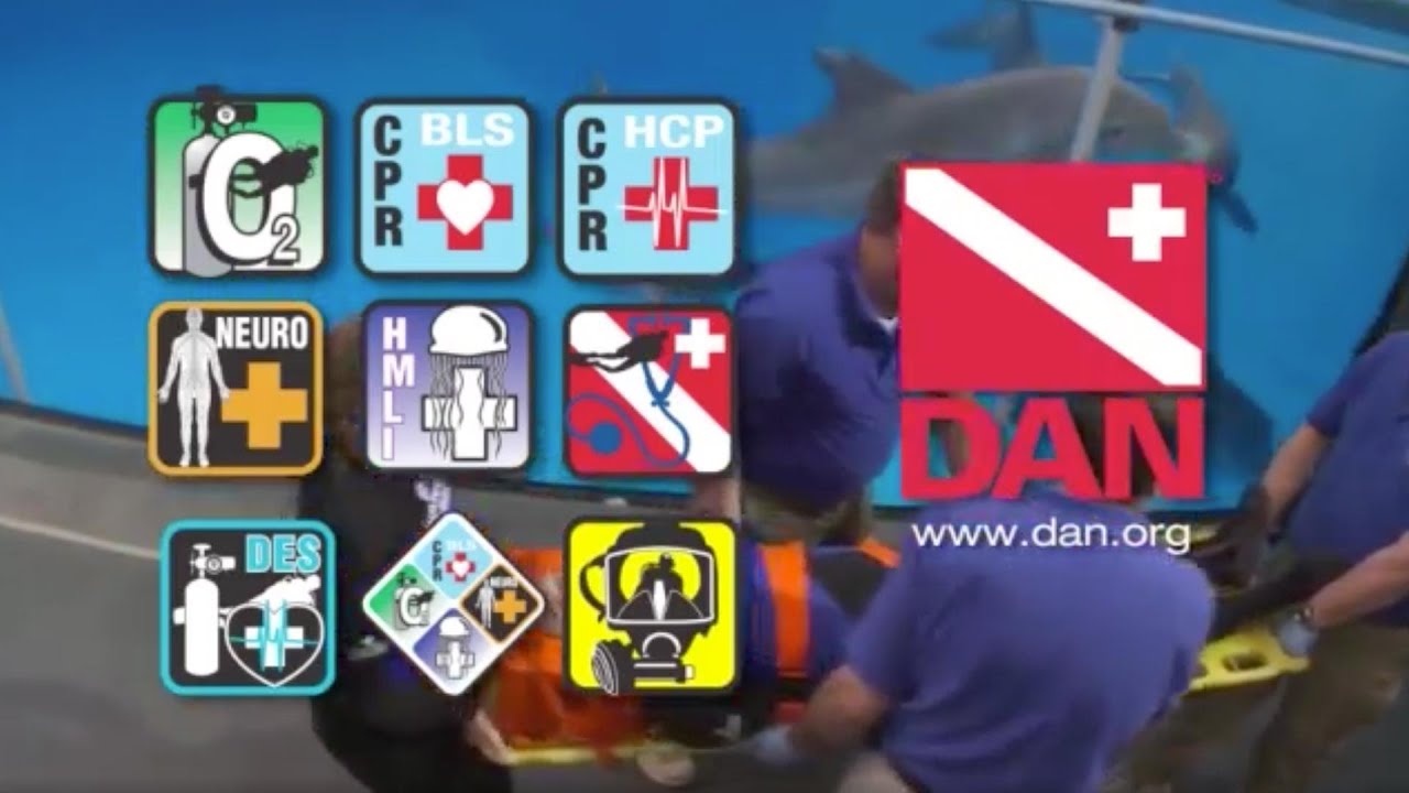 Dan Training Courses Spanish Youtube