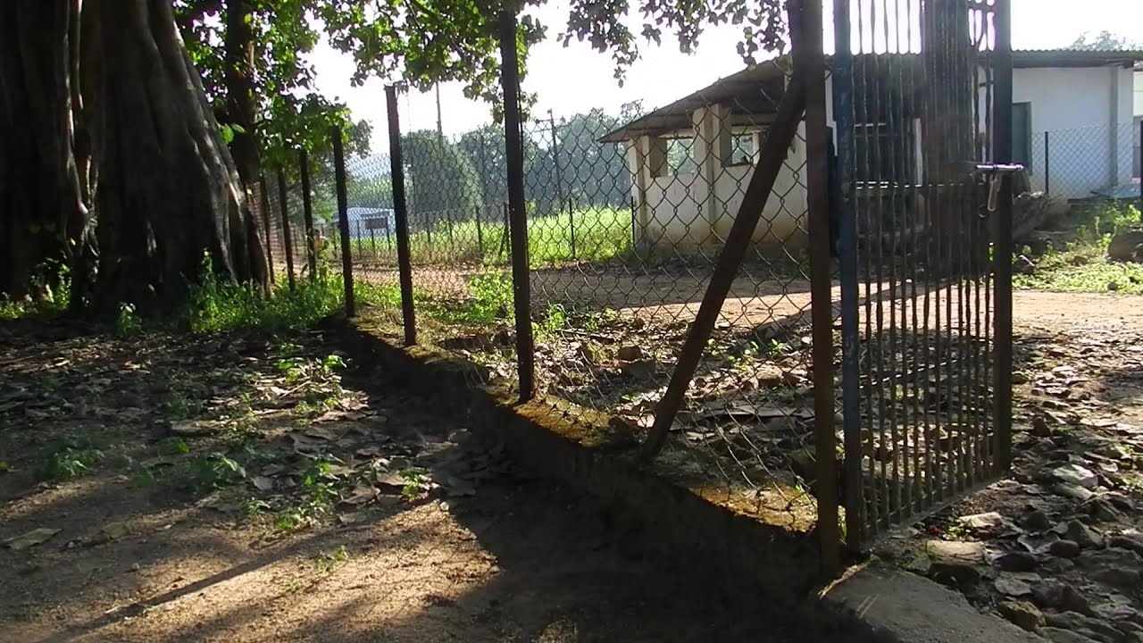 Two Solutions Youtube