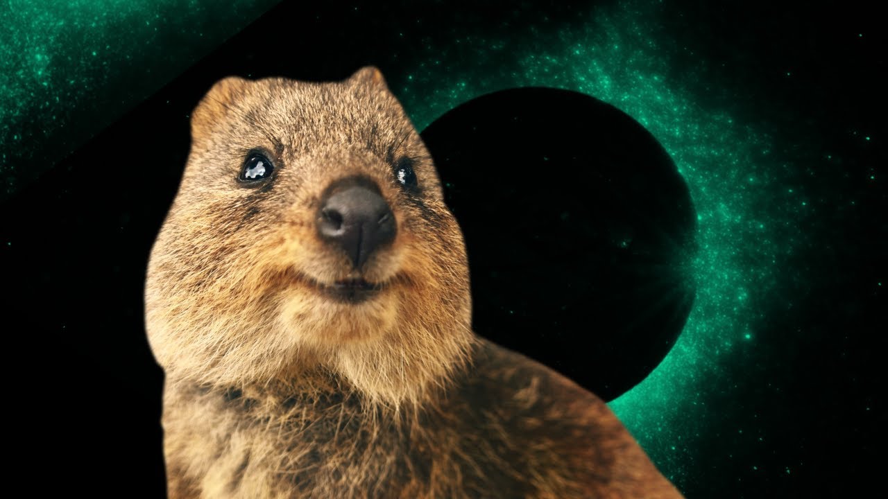 Premiere Conf42 Web 3 0 2022 Youtube