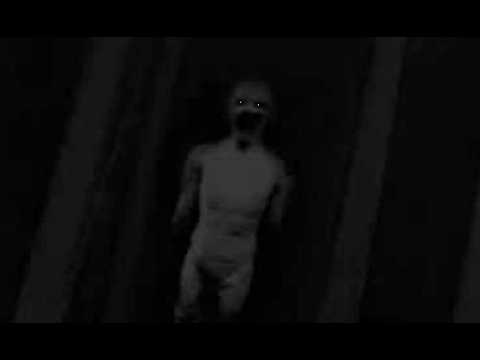Bob Youtube