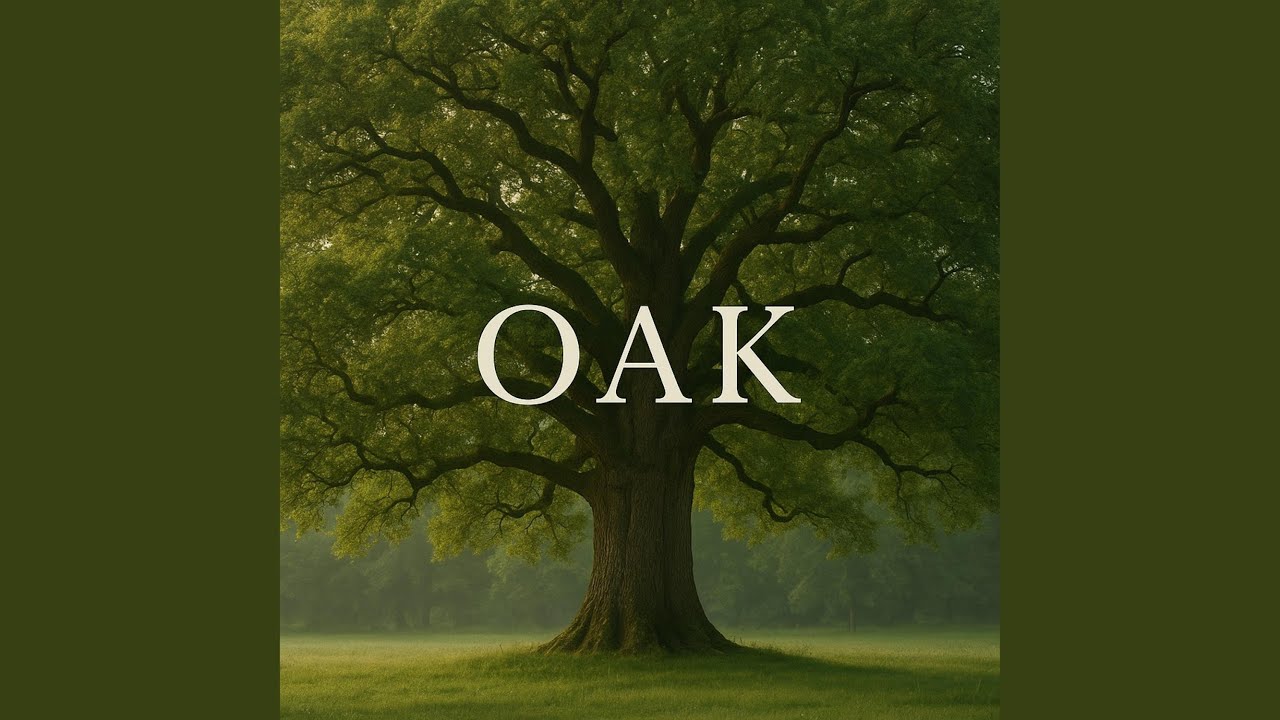 Oak Youtube