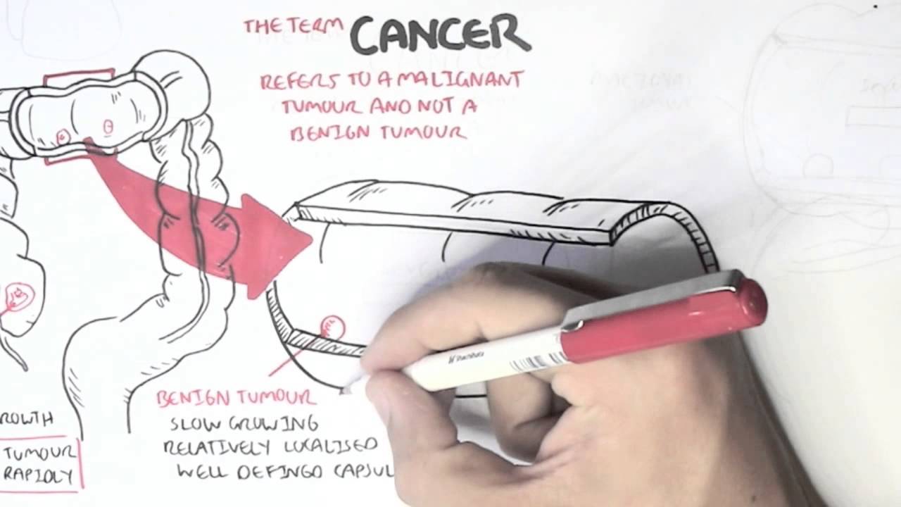 Cancer Introduction I Youtube