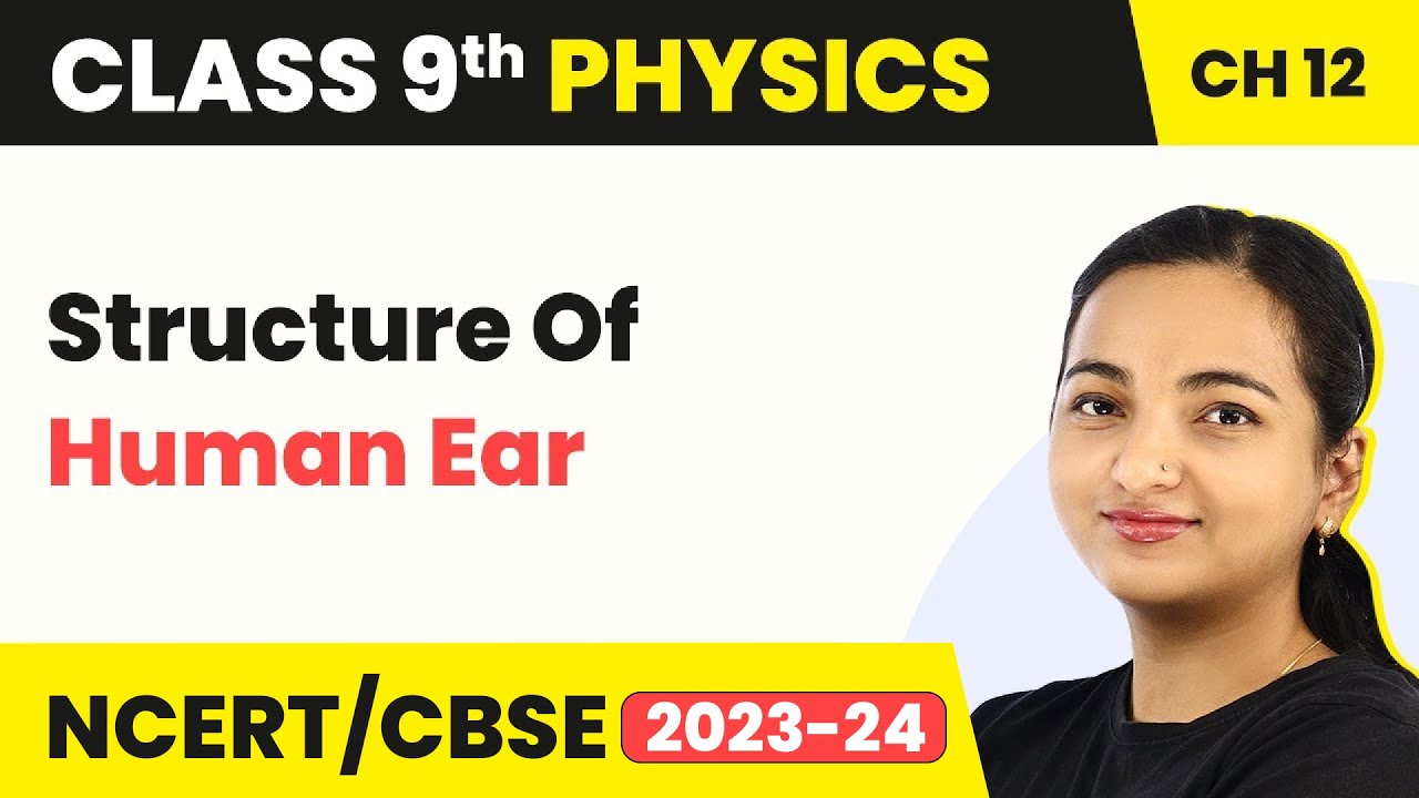 Sound Class 9 Science Structure Of Human Ear