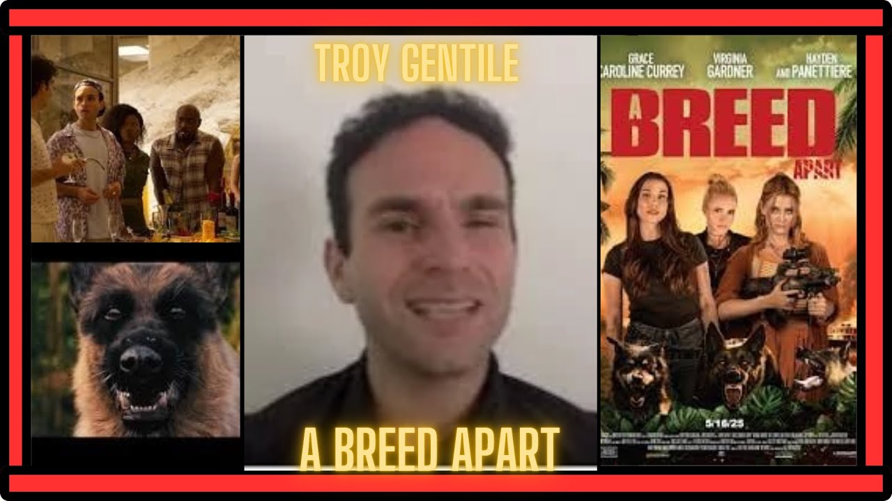 Troy Gentile Orsi Cattivi