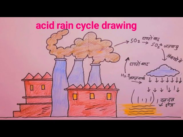 Acid Rain Cycle