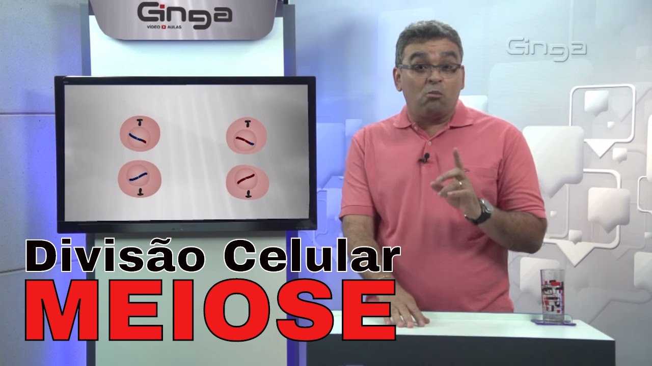Biologia Divisão Celular Meiose Youtube